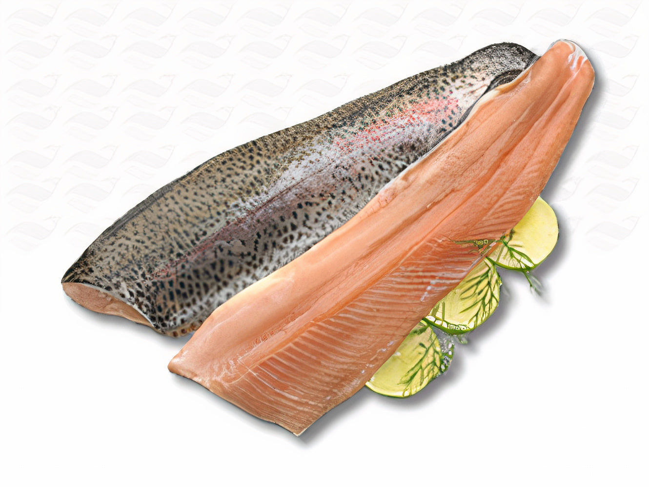 Zalmforelfilet – Noordzee Versevis